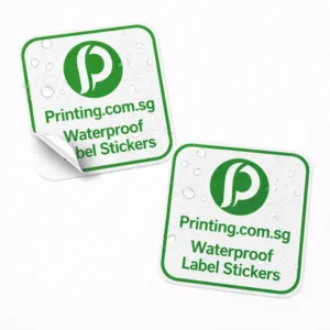 Sticker & Label Printing Singapore | Custom Shapes & Materials